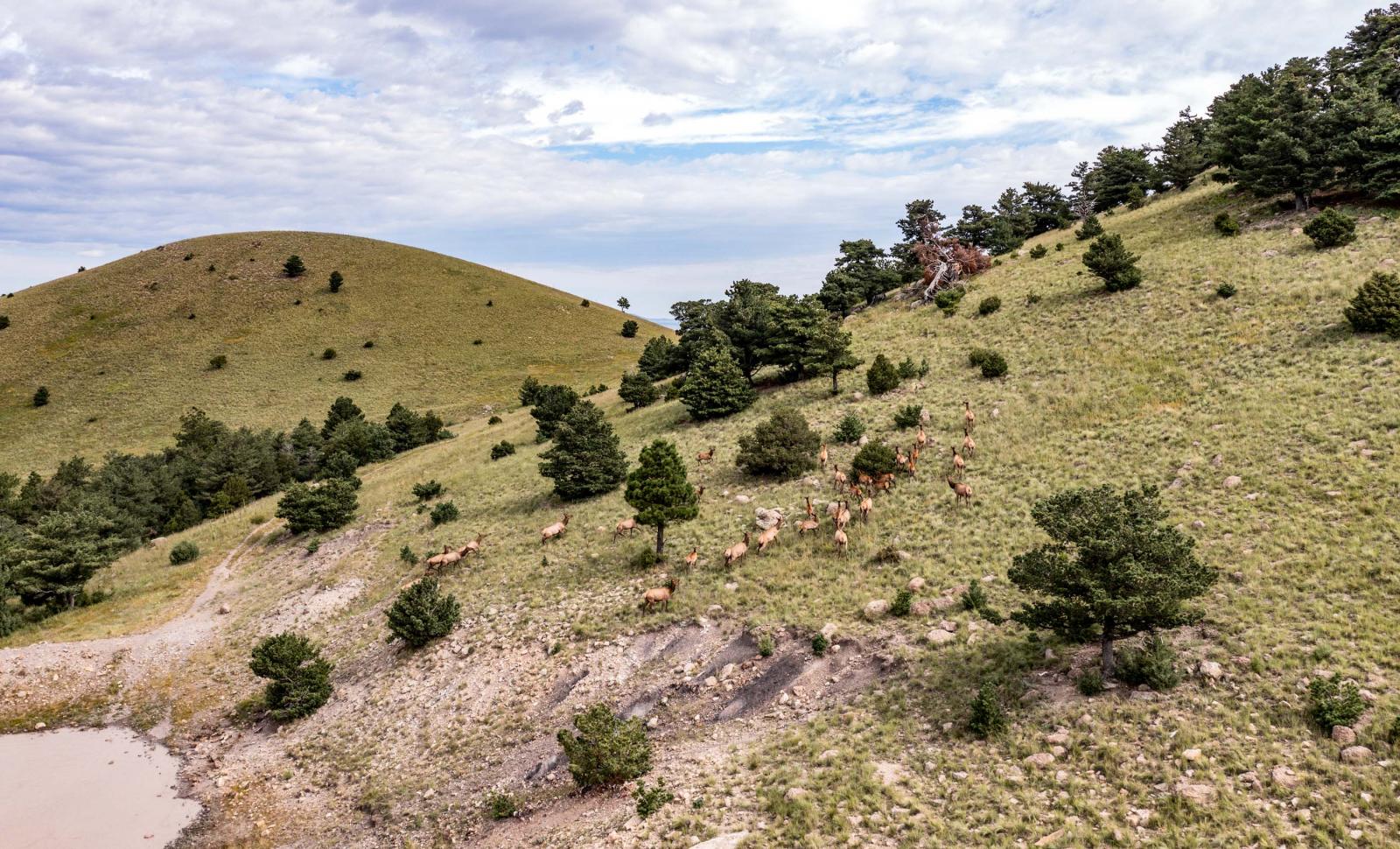 Laughlin Peak Ranch | Chas S. Middleton